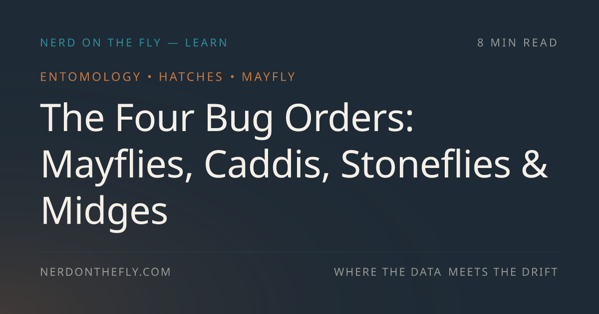 The Four Bug Orders: Mayflies, Caddis, Stoneflies & Midges | Nerd on ...